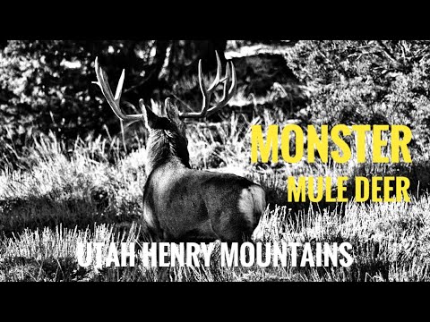 Monster Mule Deer - Utah Henry Mountains - YouTube