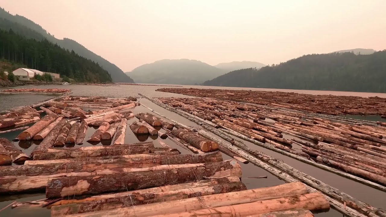 San Group - A global leader in Canadian lumber exports since 1979 - YouTube