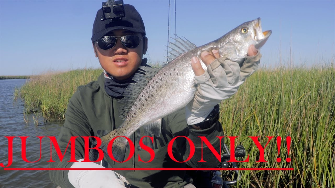 KNOW WHEN TO GO!!!/JUMBO SPECKLED TROUT FISHING!! - YouTube