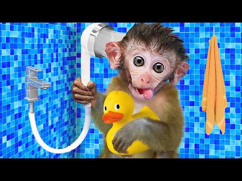 WOW monkey cleans the toilet and bathing | Funny monkey video Maymun