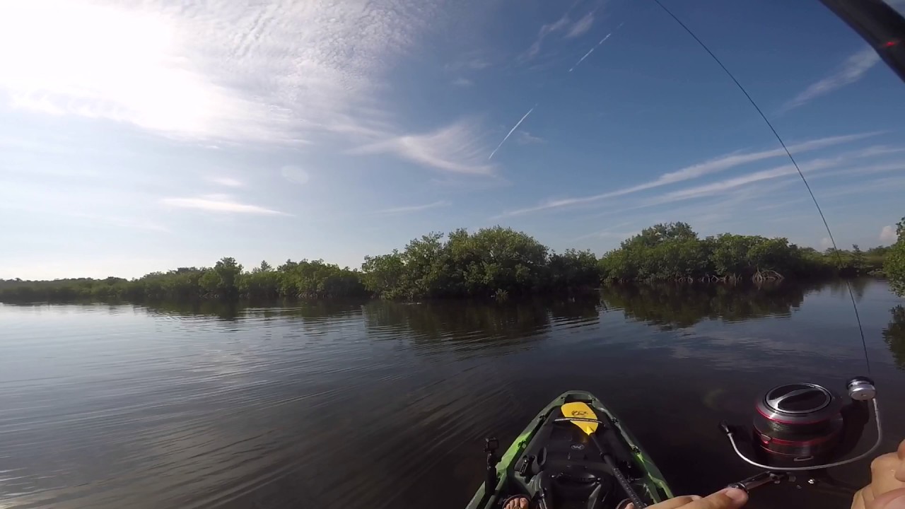 Snook .... - YouTube