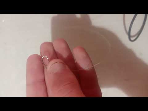 Barbun Ve Tekir Takımı #shorts