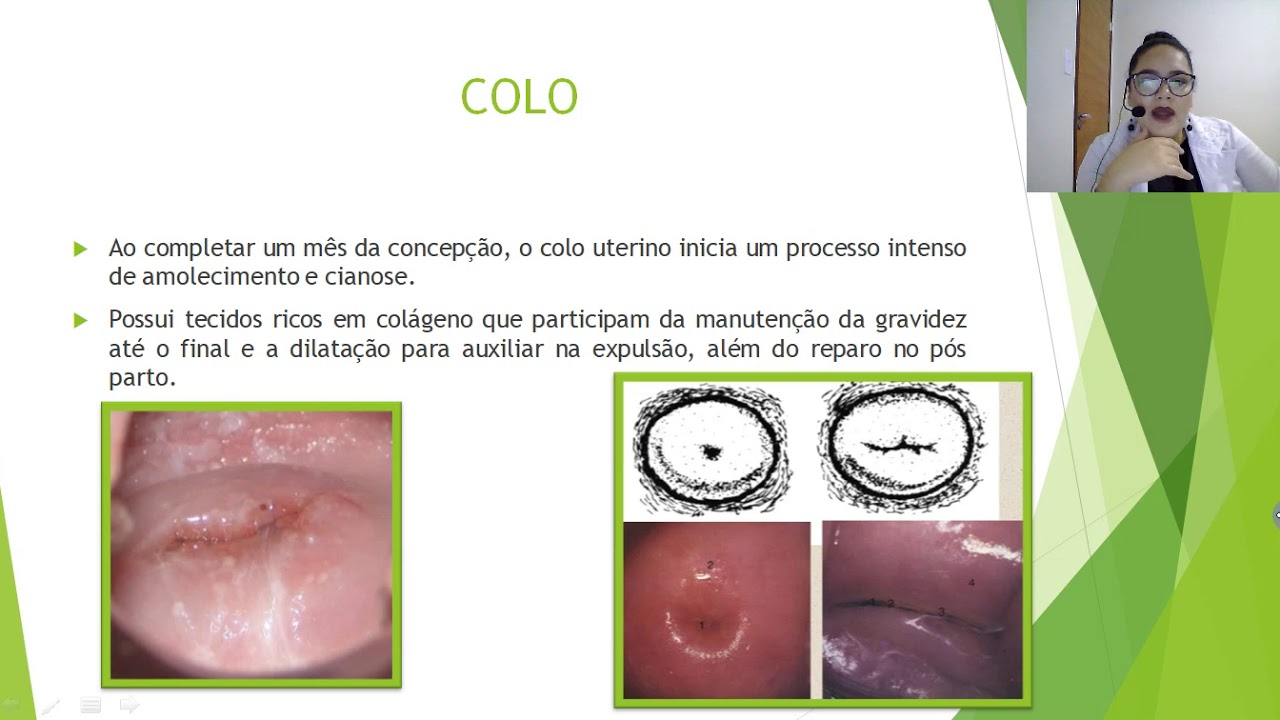 Aula 02 - Anatomia e Fisiologia Materna (Parte 2) - Obstetrícia - YouTube