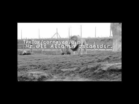 Status ucun Ela Dini video