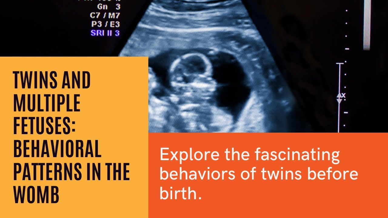 Unique Behavioral Patterns of Twins and Multiple Fetuses in the Womb # ...