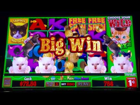 Kitty Riches slot machine- Cutest game ever! LOL - YouTube