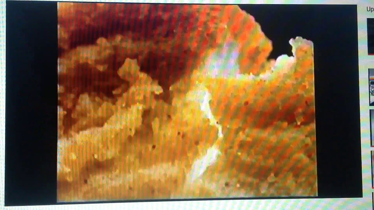 Red Rooster 2003 Ad - YouTube