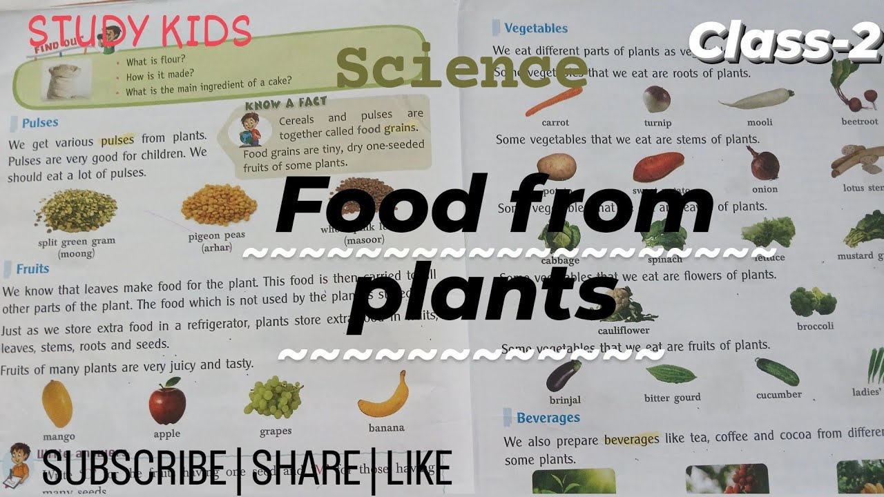 FOOD FROM PLANTS || SCIENCE || CBSE || CLASS2 @StudyKids11 #studykids ...