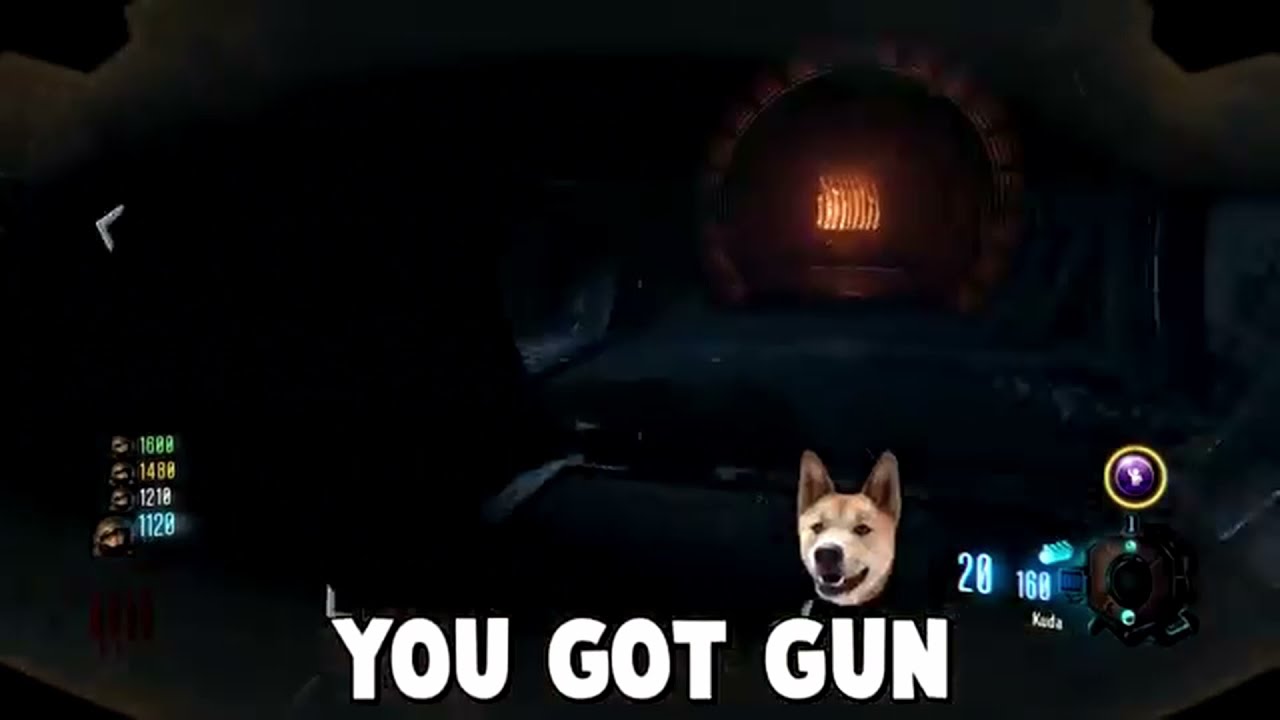 Wildcat's Dingo Song - YouTube