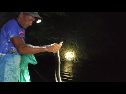 EP92:PART1- PANGINGILAW/TANGKIG HUNTING (RIVERS SNAKE) CATCH AND COOK ...