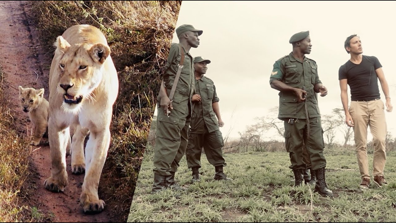 Protecting Wildlife in Africa: On Board with Rangers in Serengeti - YouTube