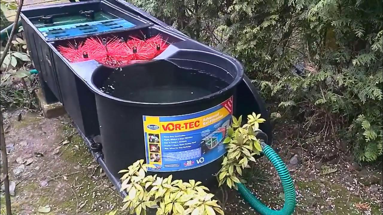 Oasis Vor-Tec 30000 koi pond filter in work - YouTube