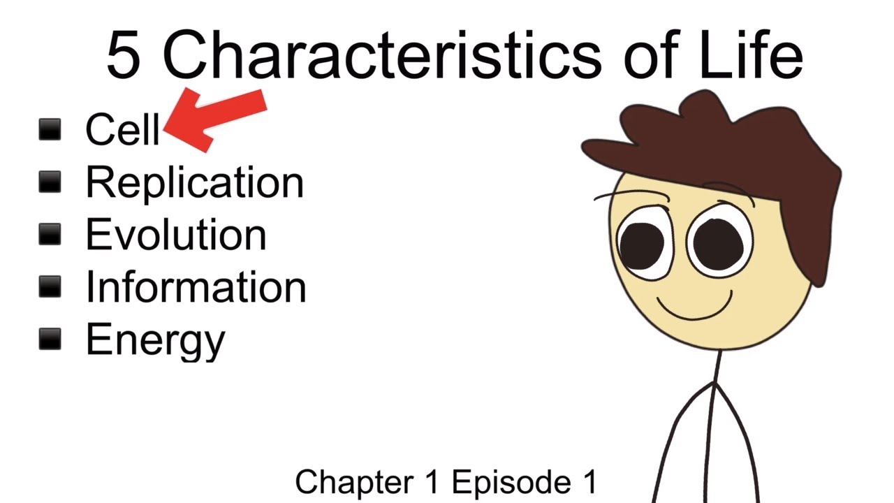 5 Characteristics of Life and 3 Theories in Biology - BIOLOGY EP1 - YouTube