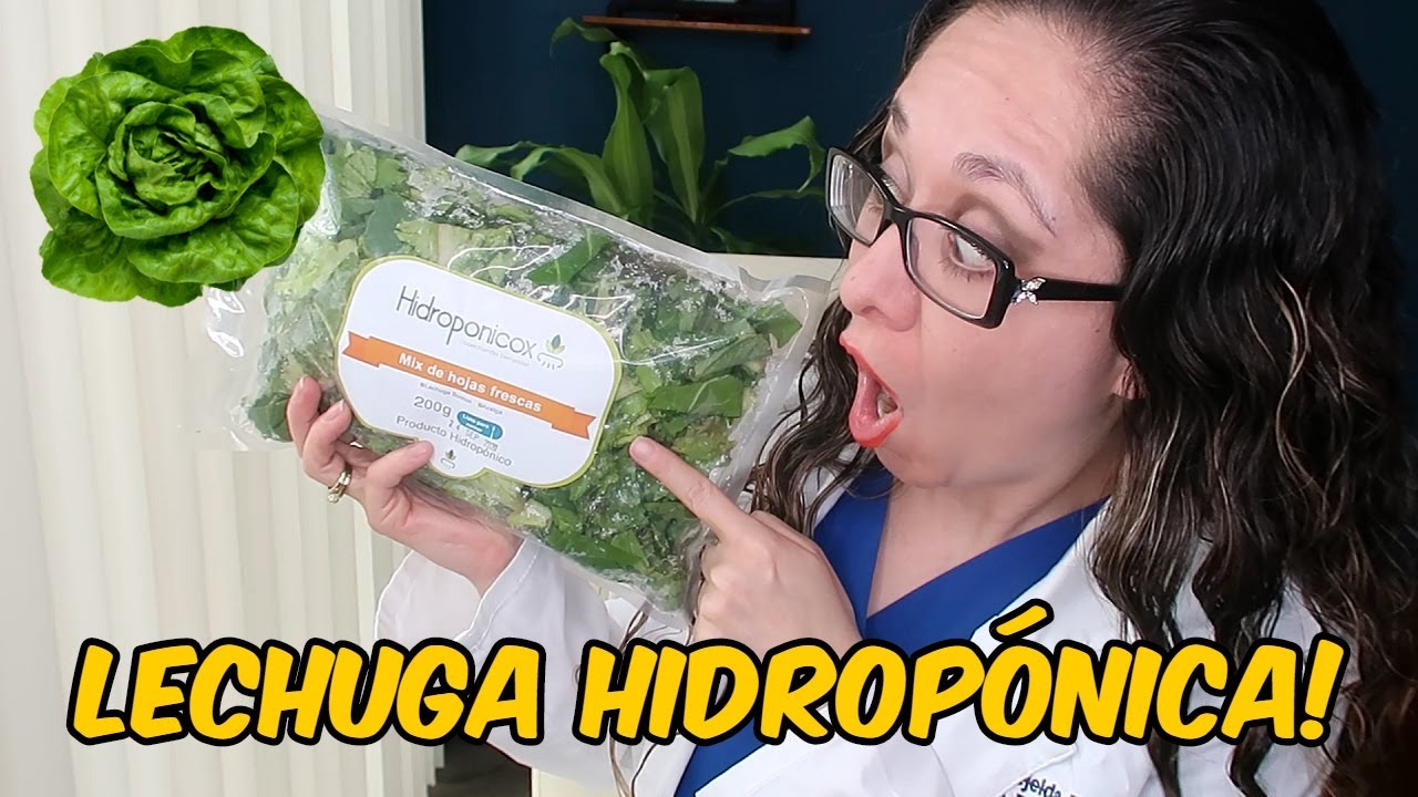 LECHUGA Y DIABETES.🥬🥗/ Dra. Melissa Tejeida - YouTube