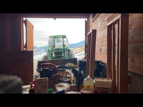 Barn Clean out Day! Tidying up for guests. - YouTube