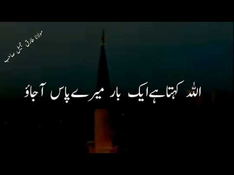 Hebohkan Warganet | Link Video Belatung Viral Di Tiktok & Twitter No Se...