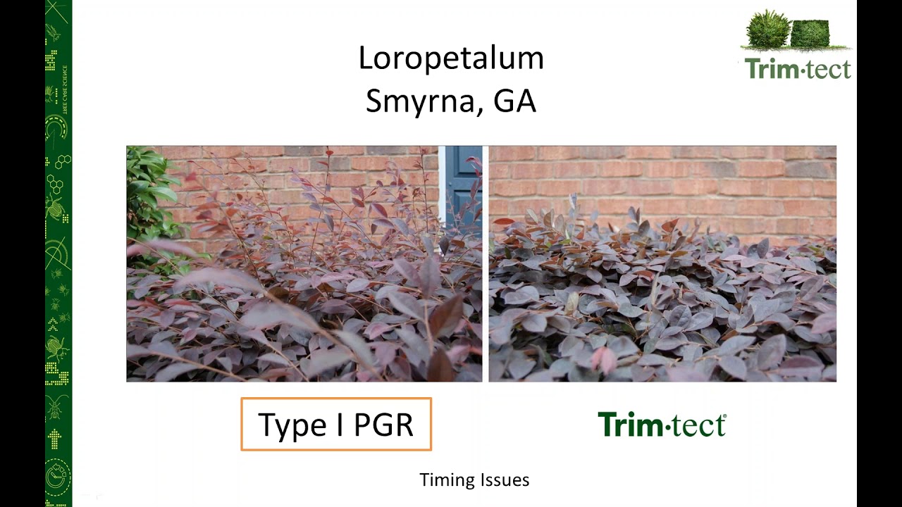 Trimtect Benefits to the Landscape and Your Company - YouTube