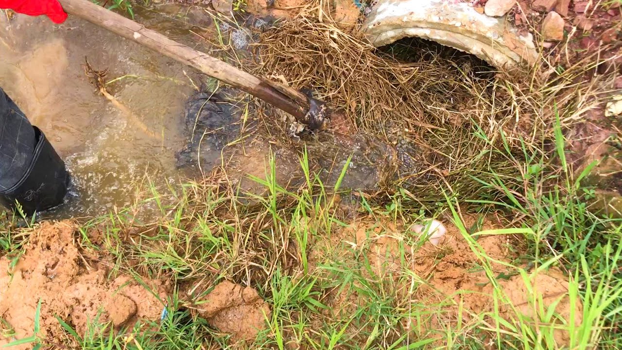 Unclogged a Culvert And Remove Debris Clogged Culvert Drain - YouTube