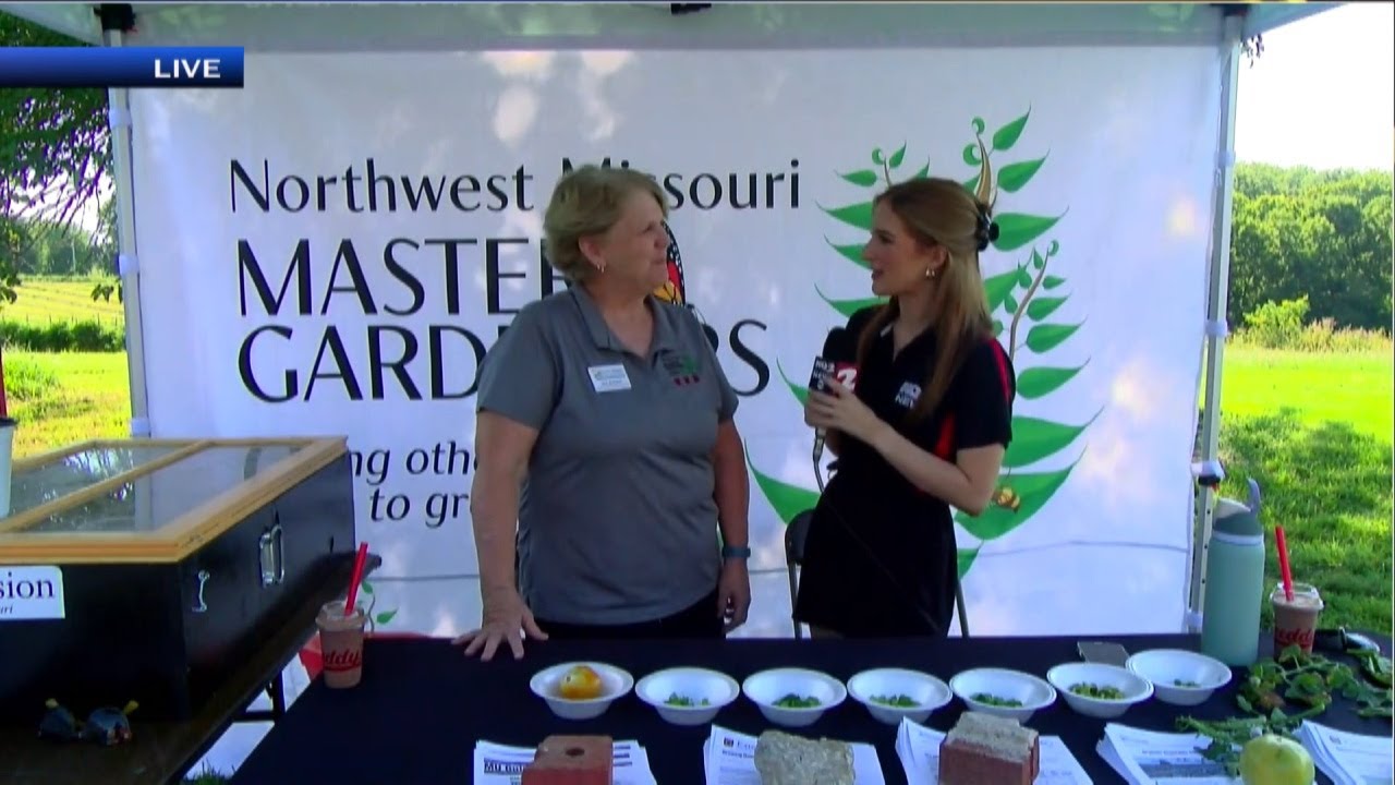 KQ2's Courtney Rowe live from Tomato Fest on Live at Five - YouTube