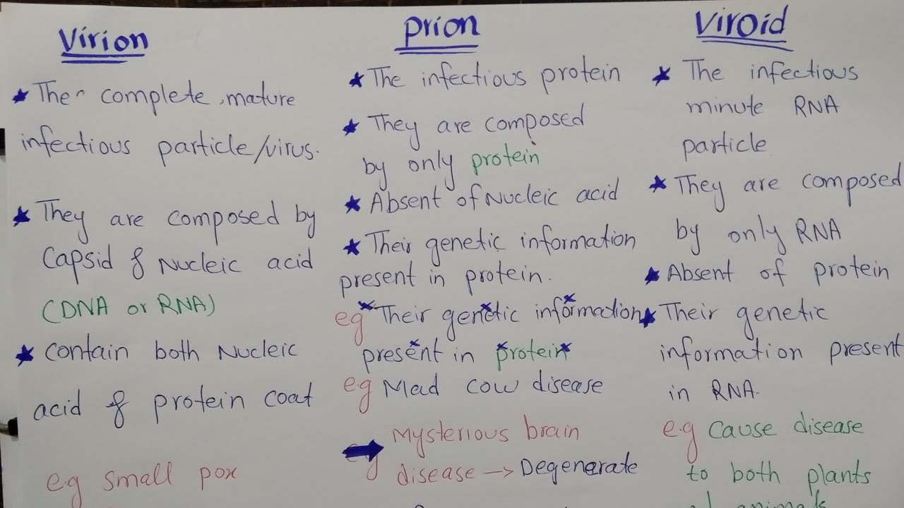 Virion | Prion | Viroid | Easy lecture| class 11 biology. - YouTube