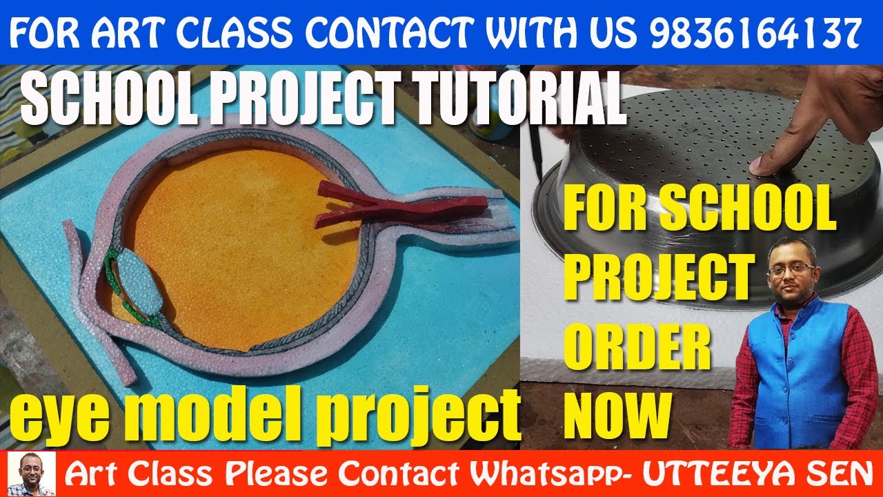 eye working model - human eye working model - working model of eye -diy ...