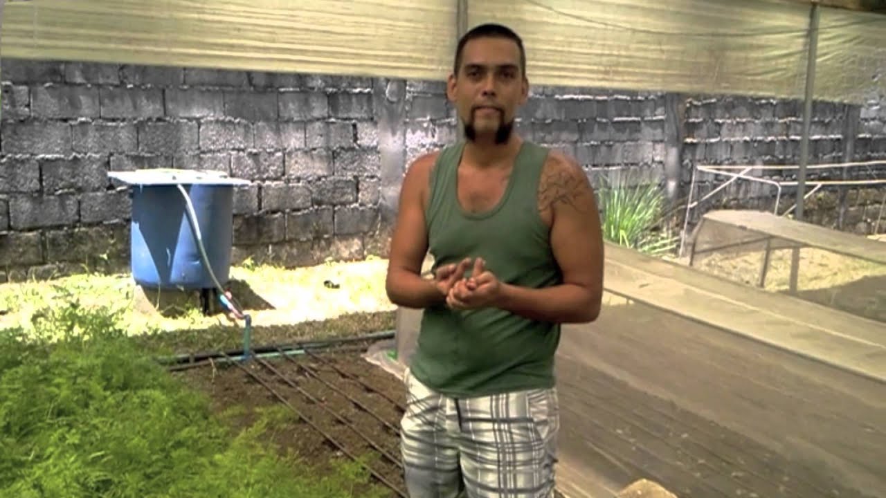 Organic Farming in the Philippines (The Eco Backyard Farm: who we are ...