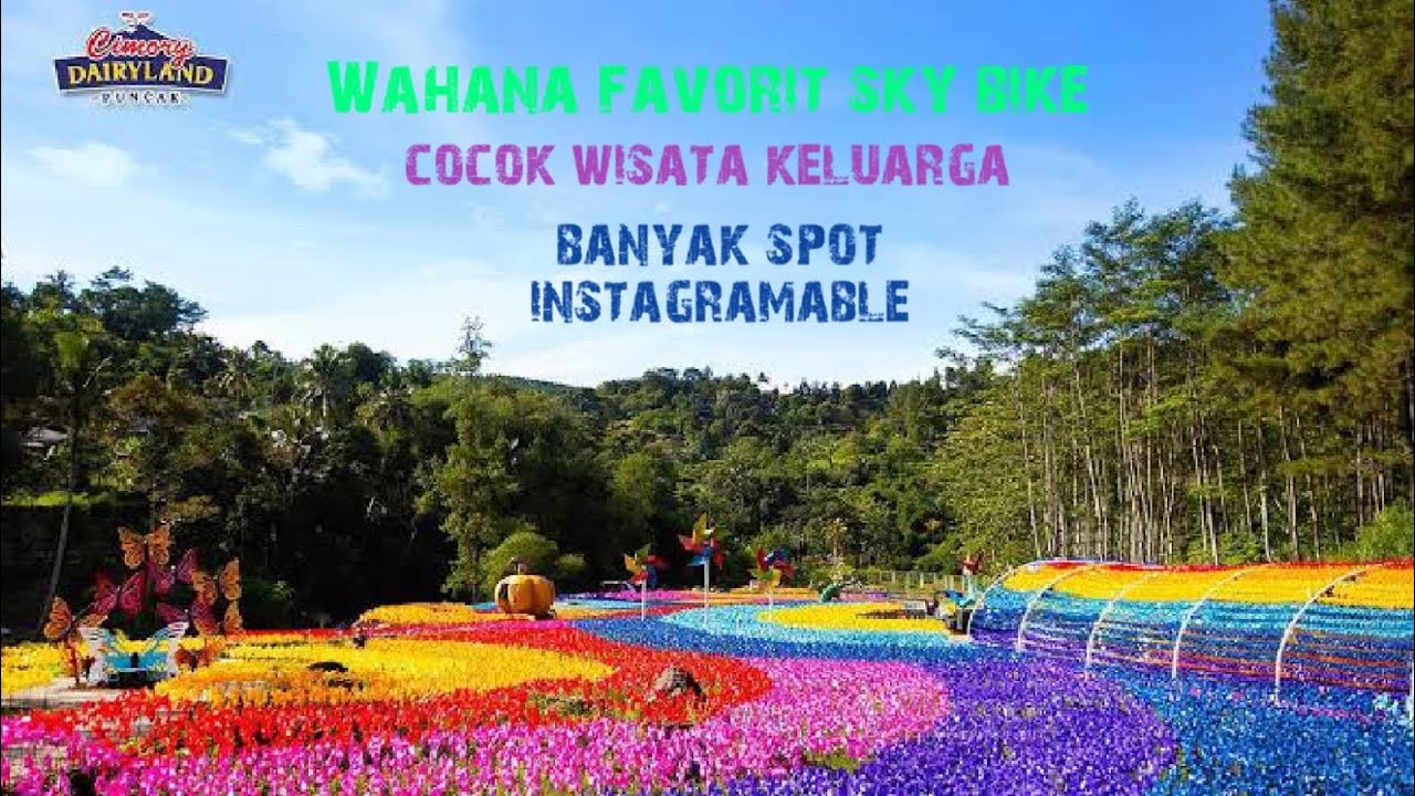 Cimory Dairyland Puncak Farm Theme Park - YouTube