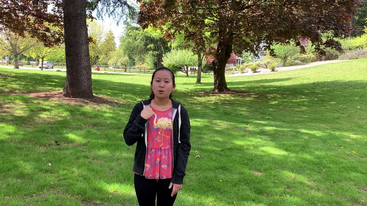 How To Say I m Learning Chinese At School In Mandarin Chinese And ASL how-to-say-i-m-learning-chinese-at-school-in-mandarin-chinese-and-asl