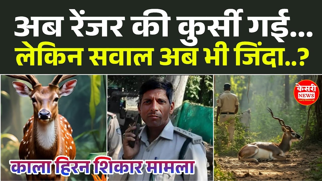 काला हिरन शिकार मामला: अब रेंजर की कुर्सी गई... लेकिन सवाल अब भी जिंदा ...