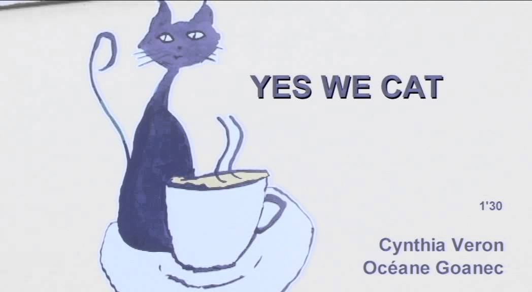 Yes we cat ! - YouTube