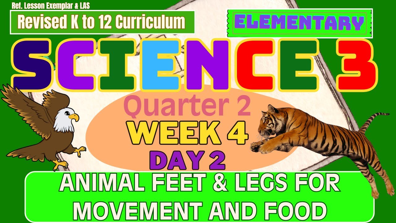 Grade 3 Science Q2 W4 D2 | Animal Feet & Legs for Movement and Food ...