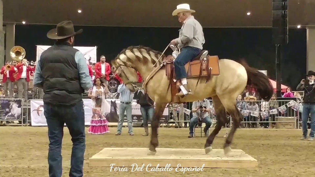 Feria del Caballo Español baile 2018 - YouTube