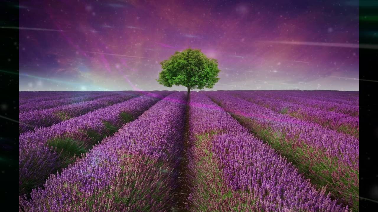 Lenny Kravitz ~ Fields Of Joy ~ Mama Said Chords - Chordify