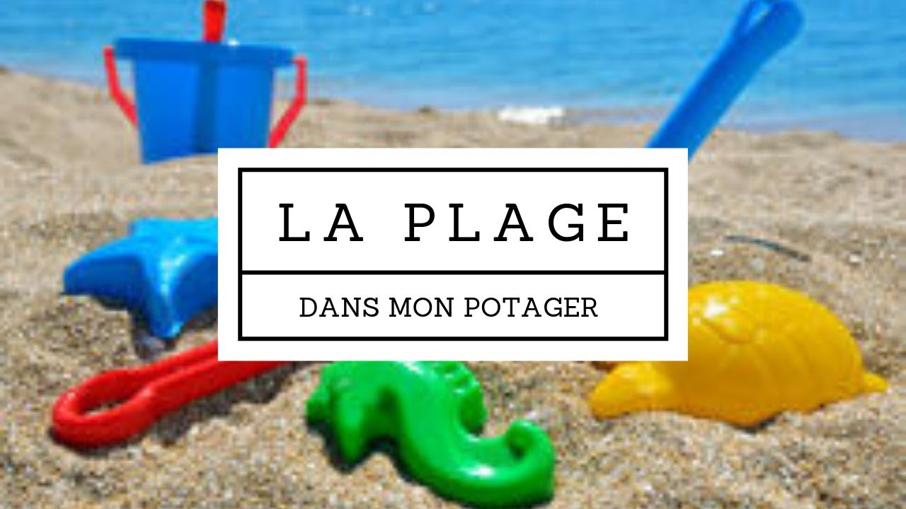Help☀☀☀ La plage dans mon potager☀☀☀ j'ai besoin de votre aide - YouTube