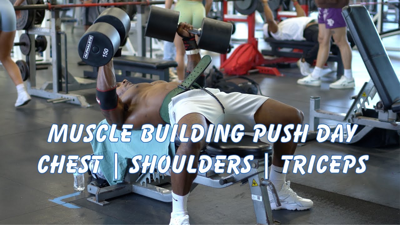 Muscle Building Push Day | Quick Chest, Shoulders, & Triceps Session ...