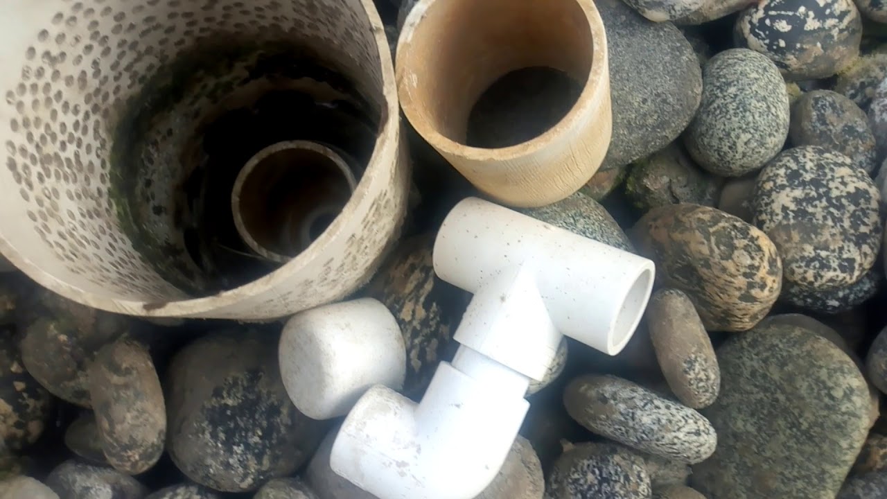 Look at the bell siphon, home Aquaponics update Karachi Pakistan - YouTube