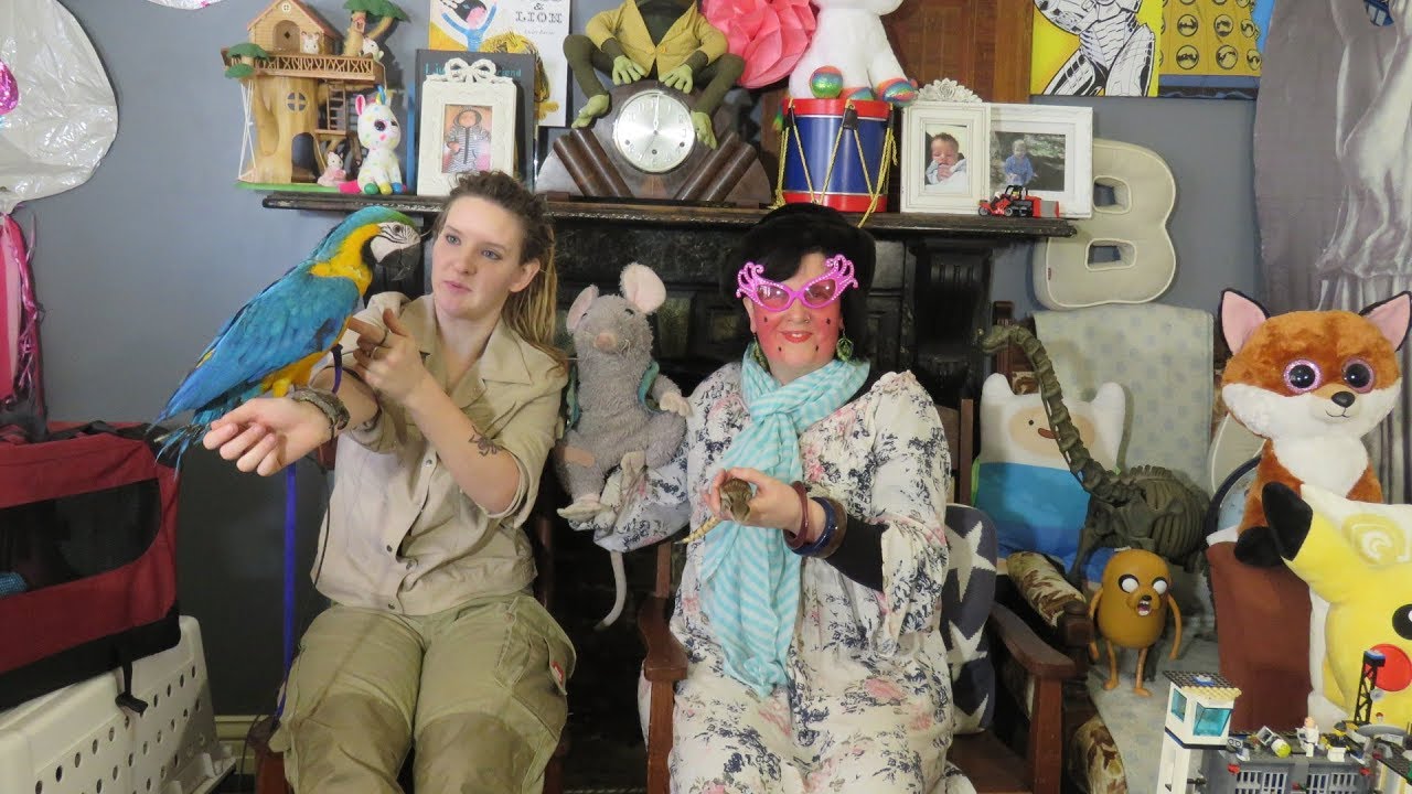 Mrs Wiffle Waffle Meets Wildlife Handler/Carer Emma Gillam & Luna ...