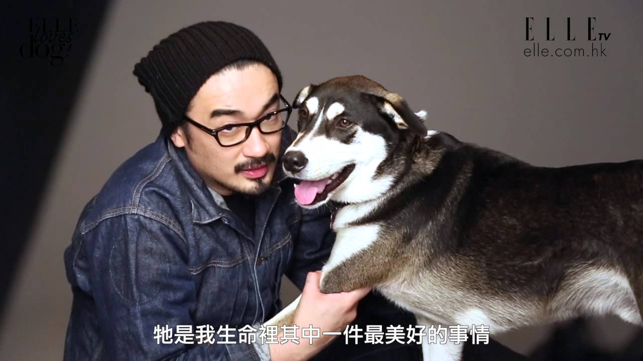 ELLE loves dog！支持領養狗隻活動 | ELLE HK - YouTube