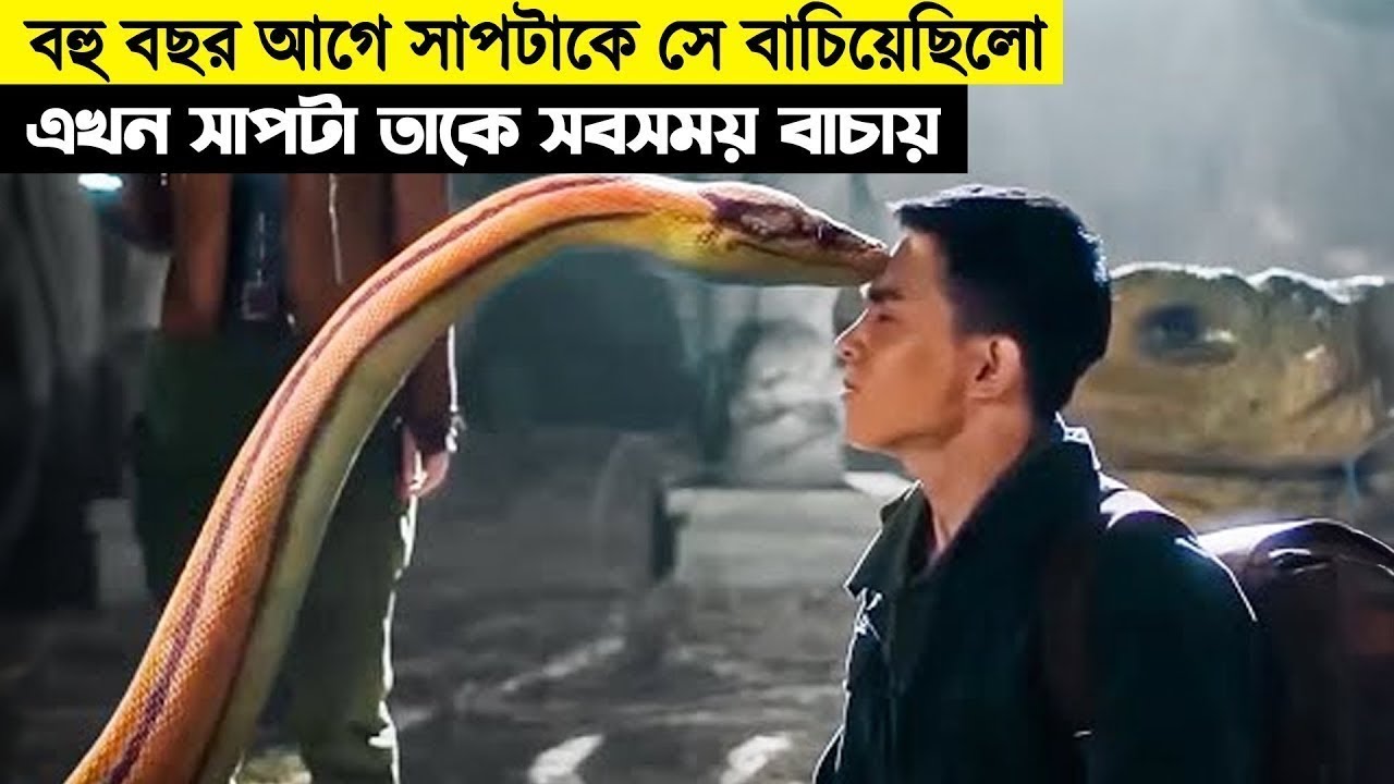 Python Island Movie Explain in Bangla | দ্বীপে মানুষ আর সাপের অদ্ভুত ...