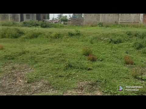 sarlahi  barathawa  ward no 7  near. rice mill...9825861404