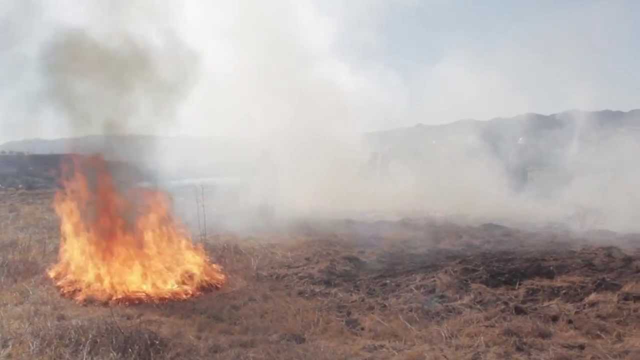 Flatland Spot Fires - YouTube
