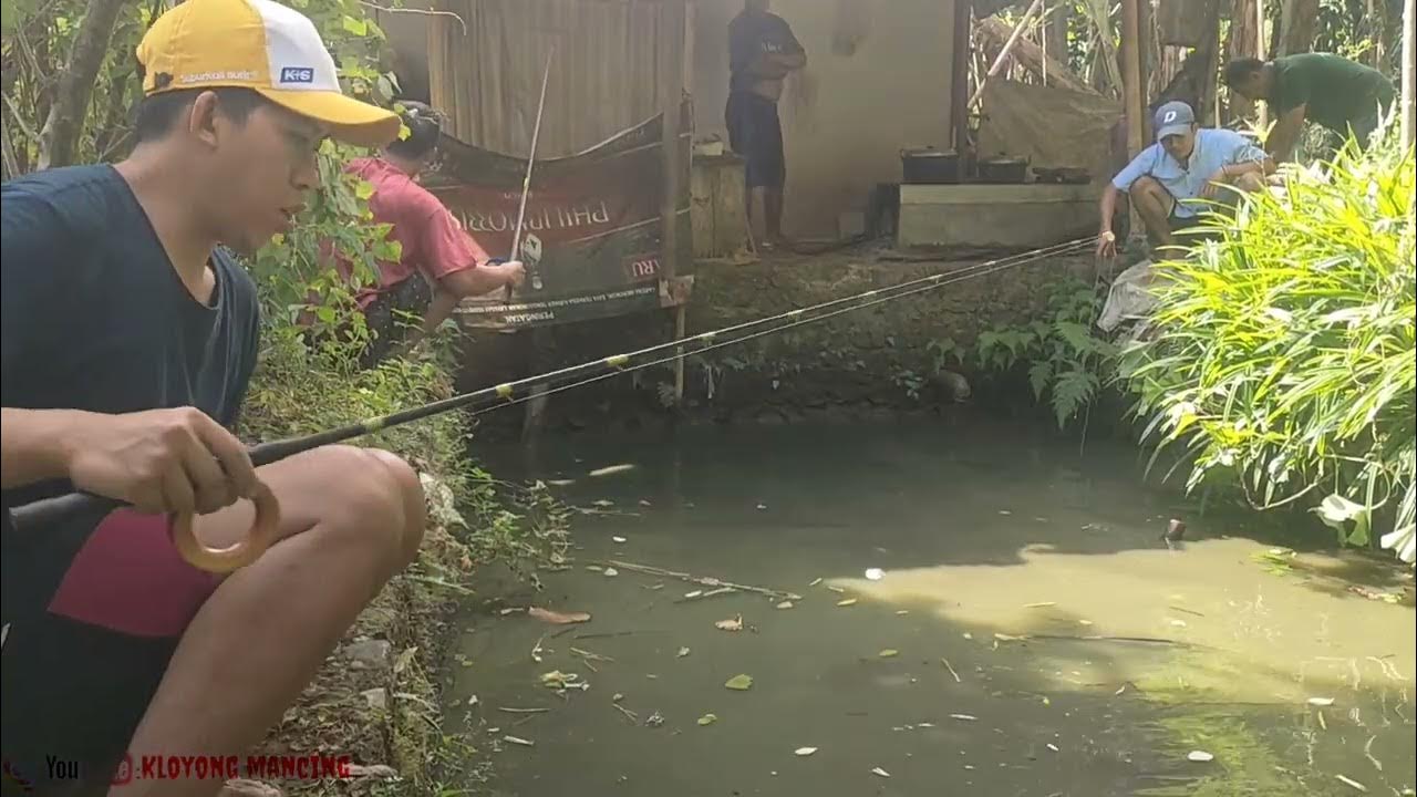 Segitunya mancing borongan ikan lele - YouTube