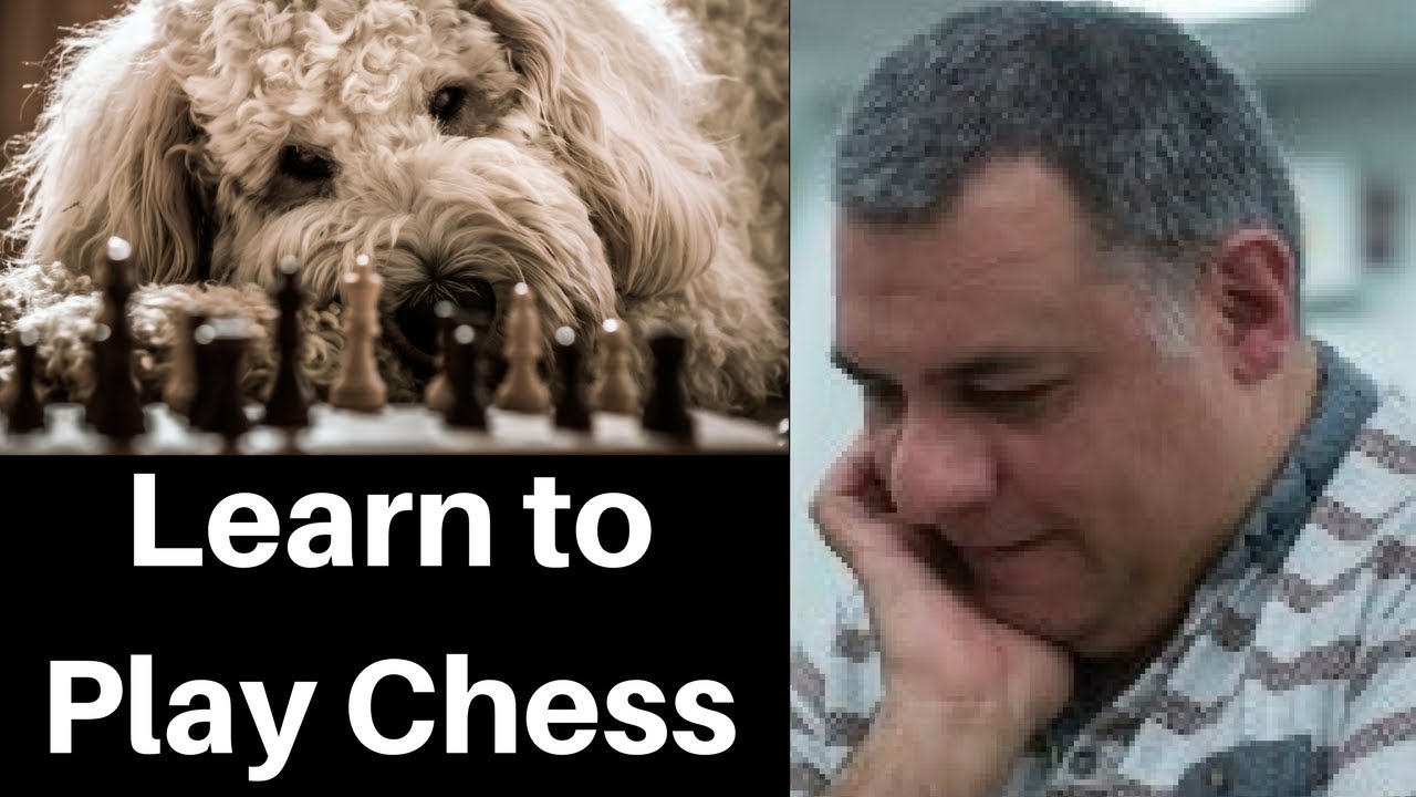 Learn to play chess! Chess Beginner Lesson Series - How each of the ...