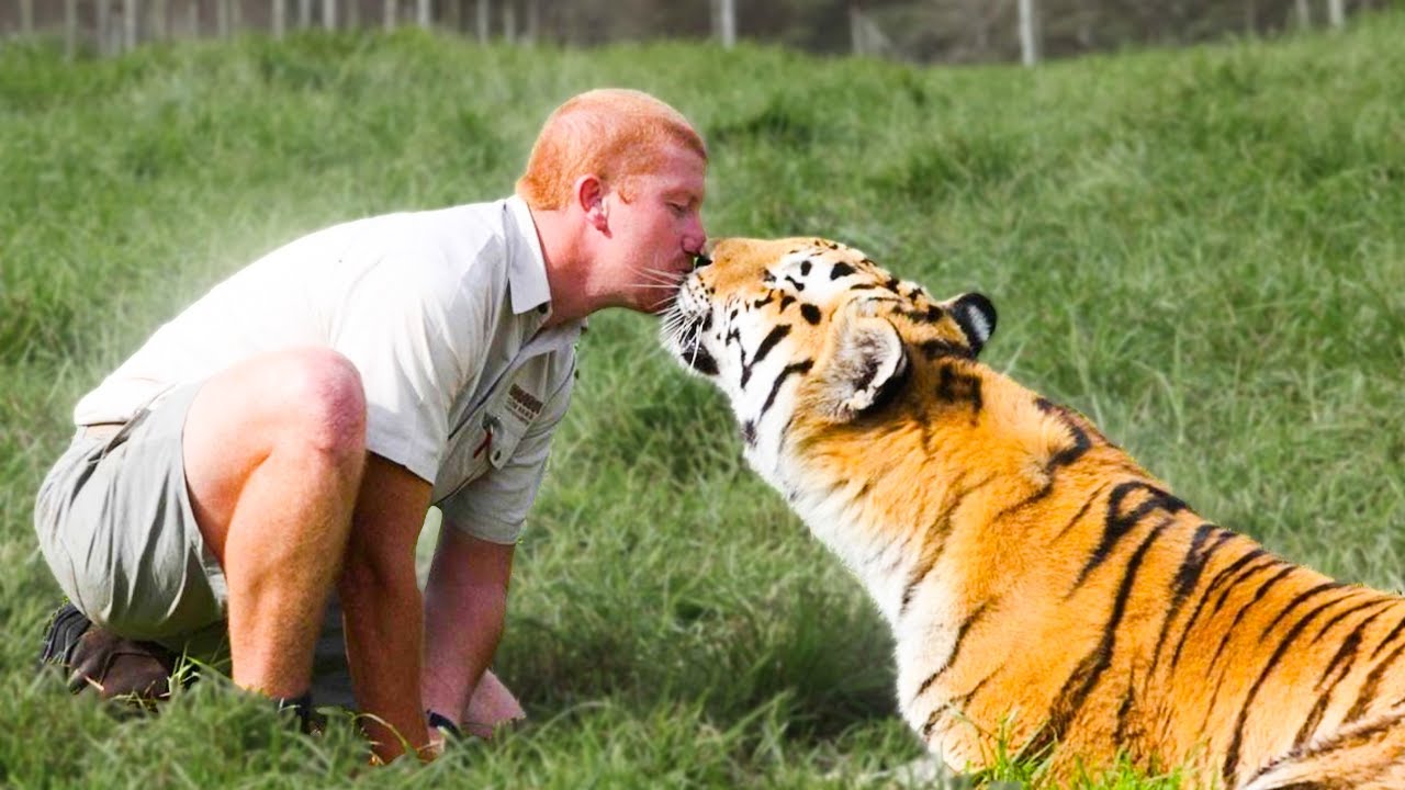 Animals Reunited With Their Owners After Years - YouTube