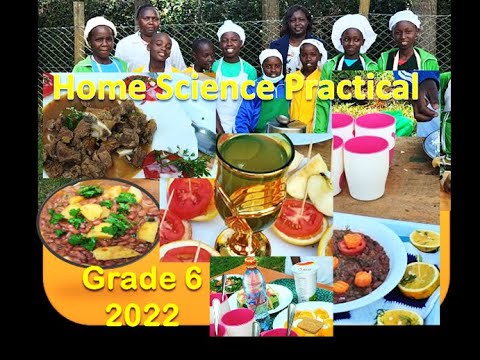 Grade 6 Big Sumptious Lunch ; Home science Practical! - YouTube