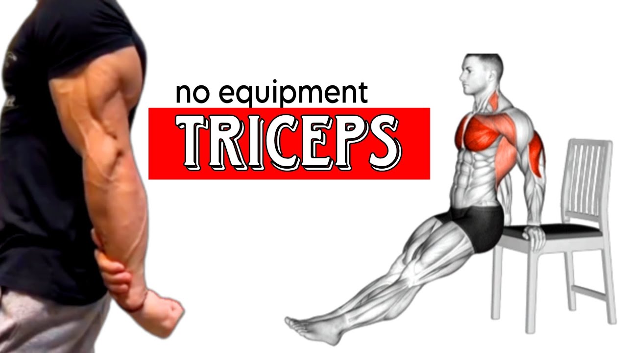 5 Best Exercises For Bigger Triceps At Home|No Gym Equipment - YouTube