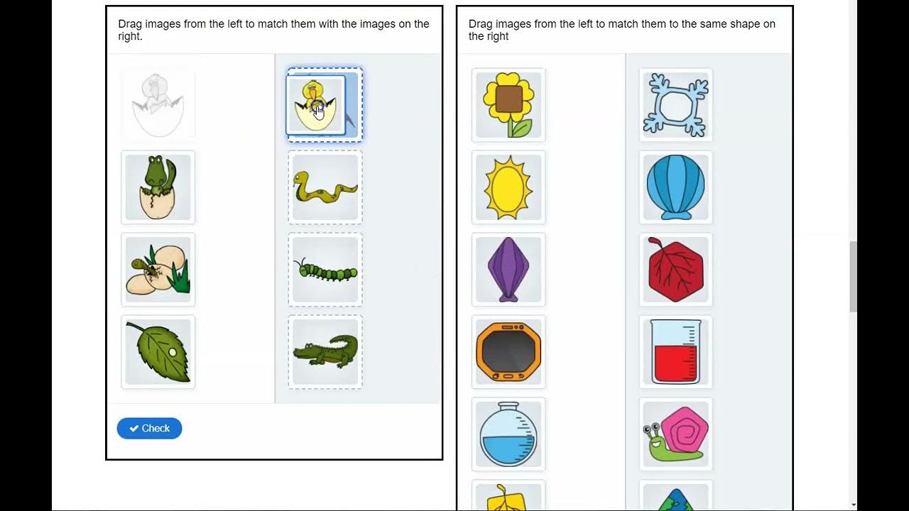 2nd Grade Technology Curriculum Activities - YouTube