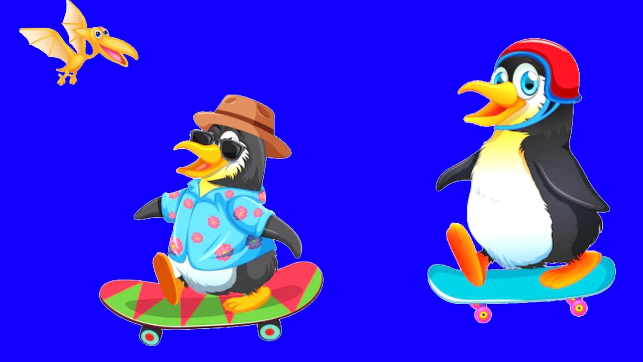 birds green screen, Chroma key blue screen birds HD - YouTube