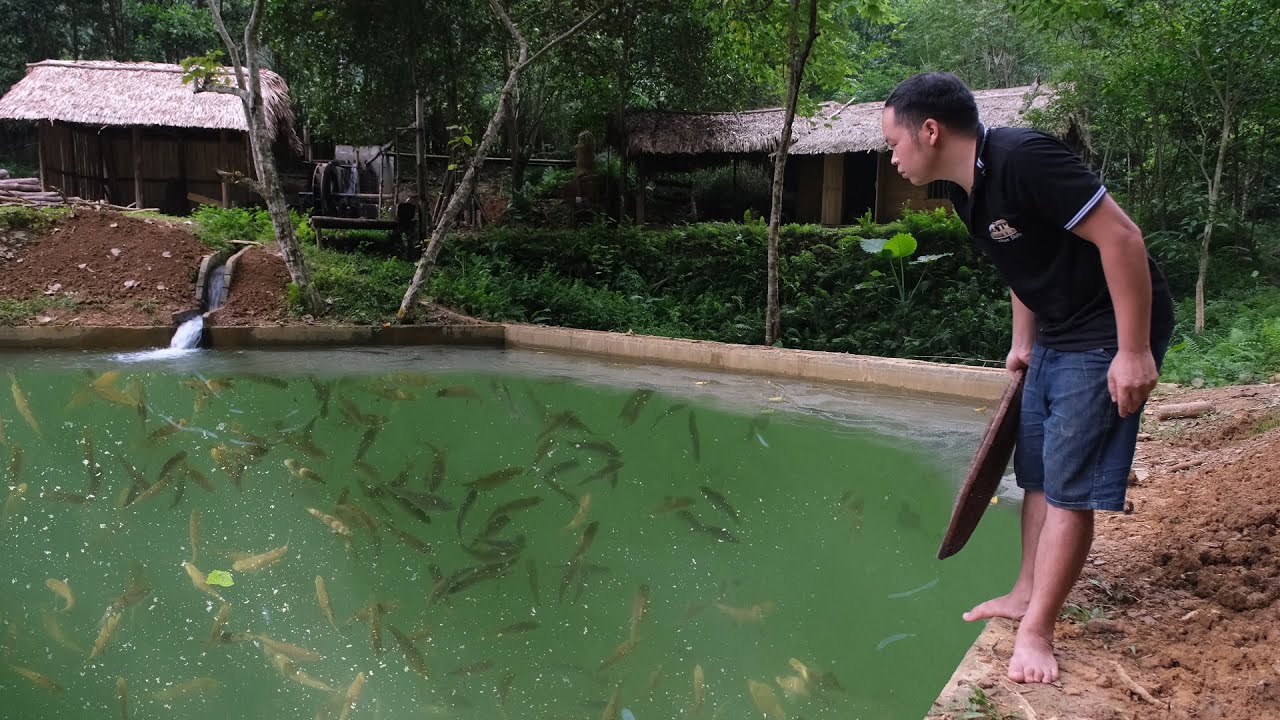 My Flock of Fishes and Floating Rice Rafts, what i always look forward ...