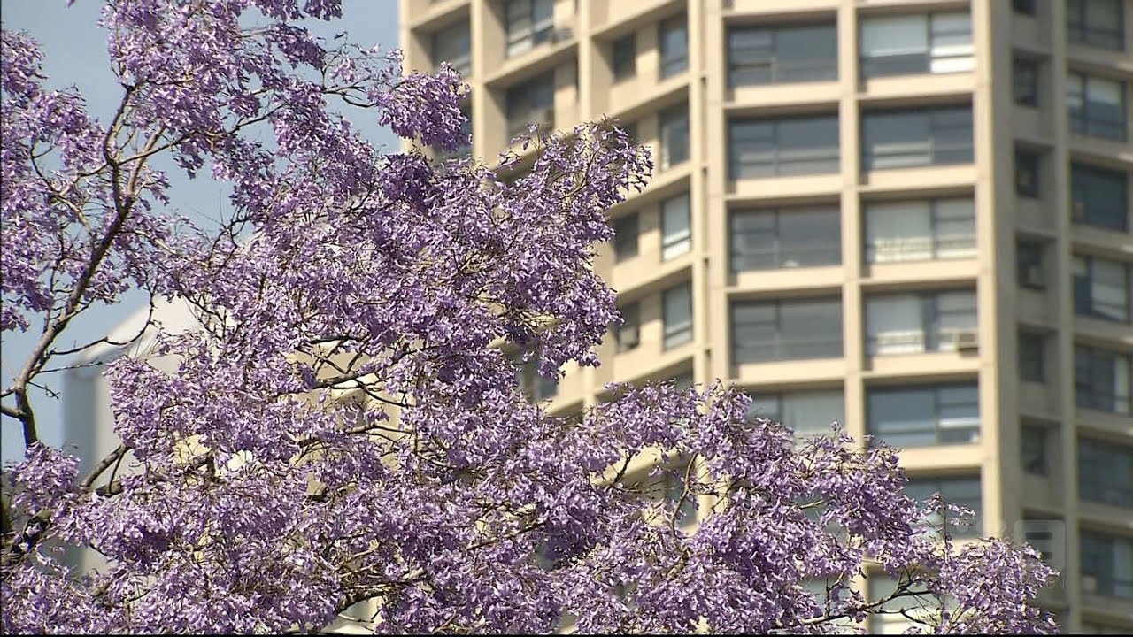 [4K50] 2002 Australian 1080i50 HDTV demo on VHF Channel 8 - YouTube